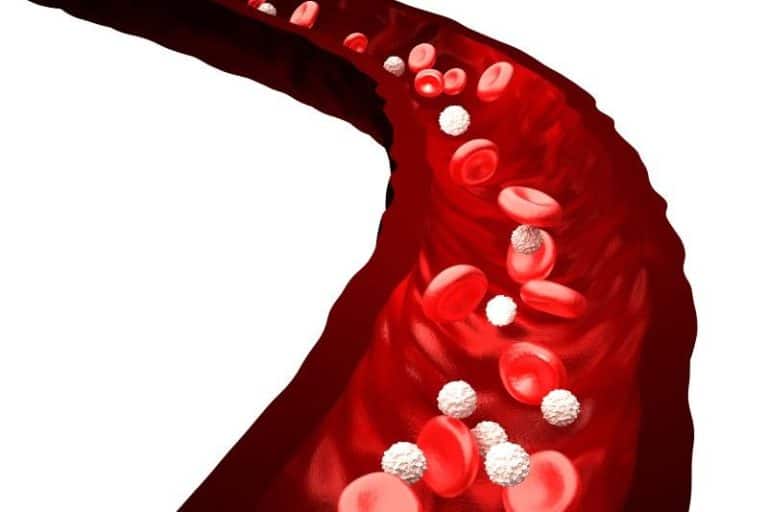 Проучвания за Ентан - Ентан